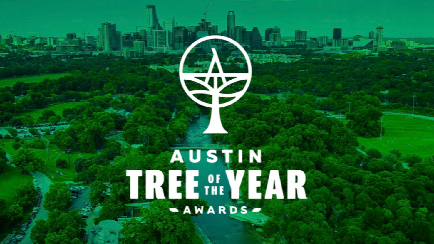 Austin Tree of the Year - The Ledger Post